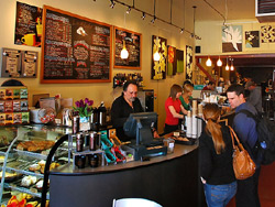 local color ローカル・カラー - junglecity.com