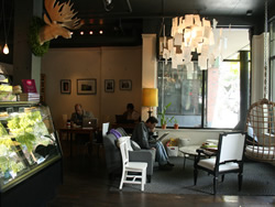 muse-coffee - junglecity.com