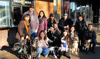 happy-dogs-420 - junglecity.com