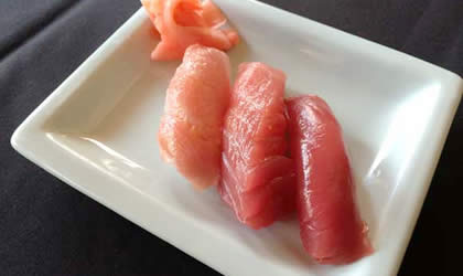 shiro-maguro - junglecity.com