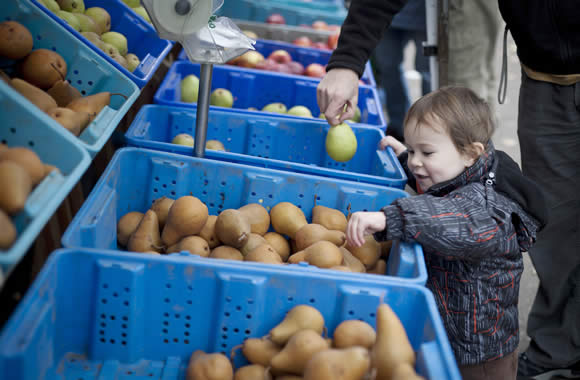 pdx-slider-farmers-market - junglecity.com