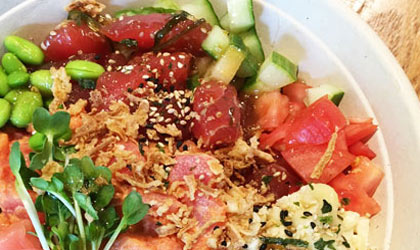 poke-420 - junglecity.com