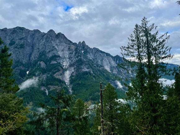 etsuko-stegosaurus-2 - junglecity.com